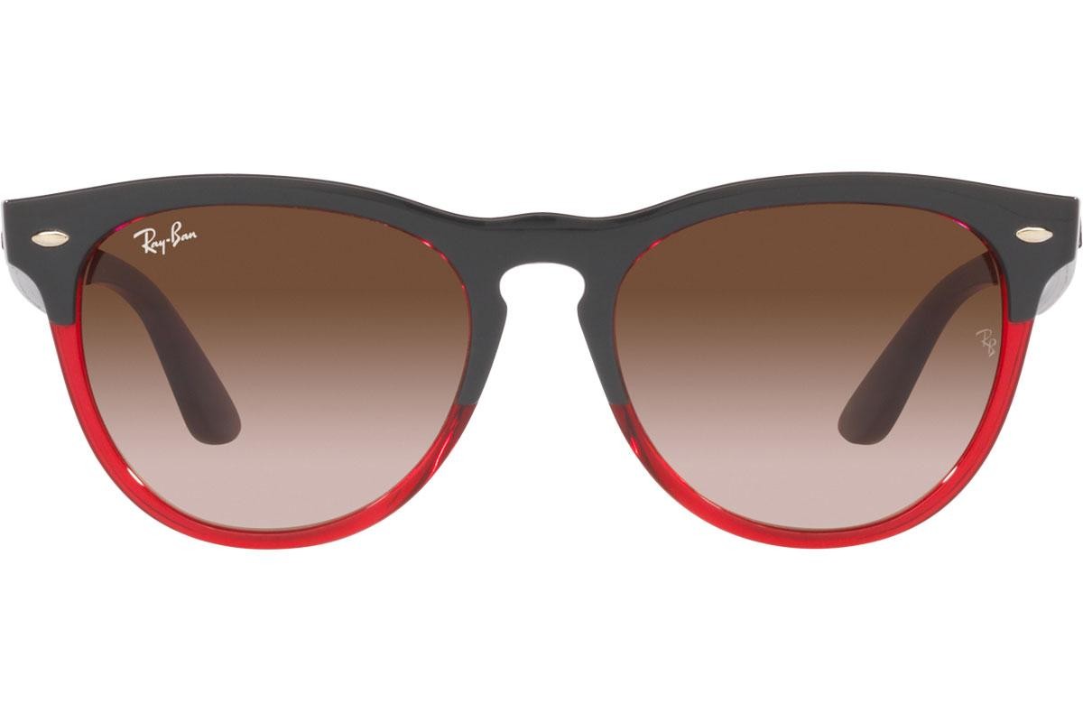 Ray-Ban Iris RB4471 663113 | eyerim.cz